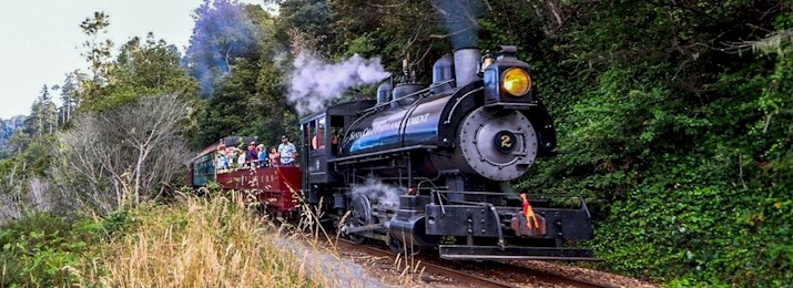 Skunk Train: Days of Steam Coupon Codes - Save 15% | Destination Coupons